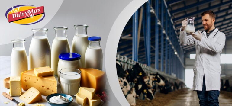 How Dairy Max Ensures High-Quality Standards in Dairy Production